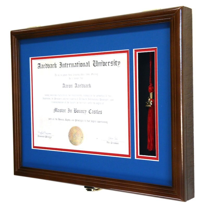 Custom Diploma and Graduation Tassel Display Case Cabinet Frame (w ...