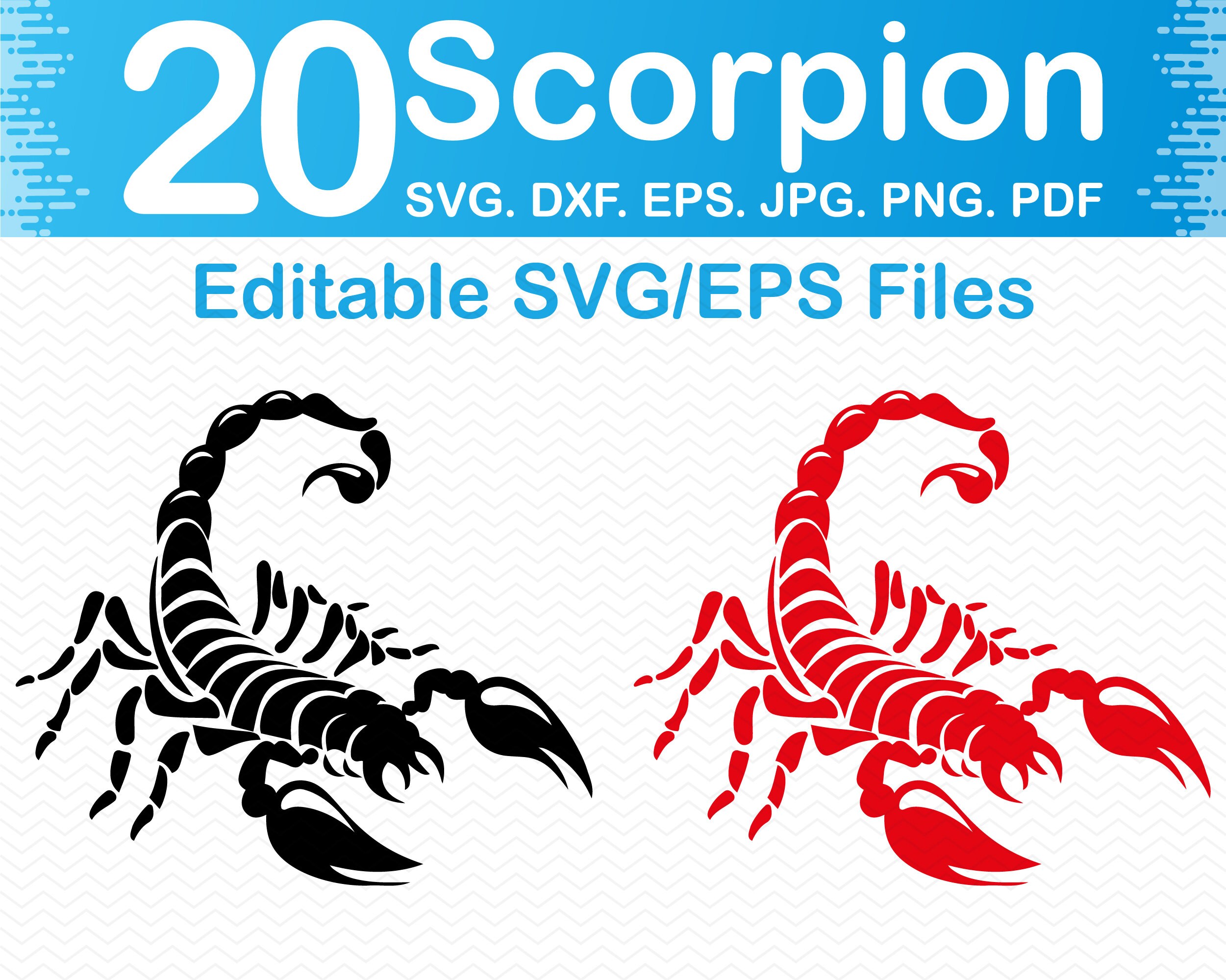 Scorpion svg SVG files for cricut SVG silhouette svg DXF | Etsy