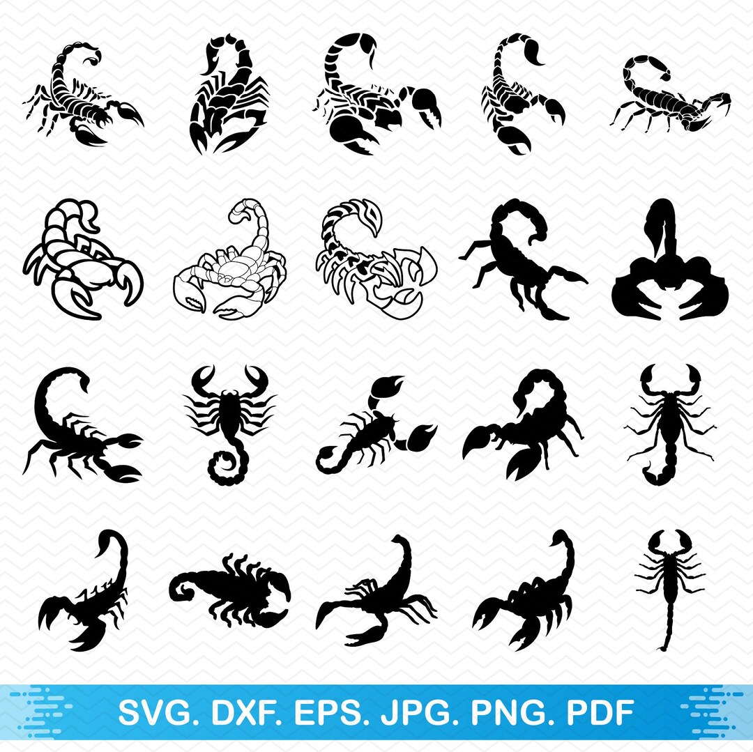 Scorpion Svg, SVG Files for Cricut, SVG Silhouette Svg, DXF Files for ...