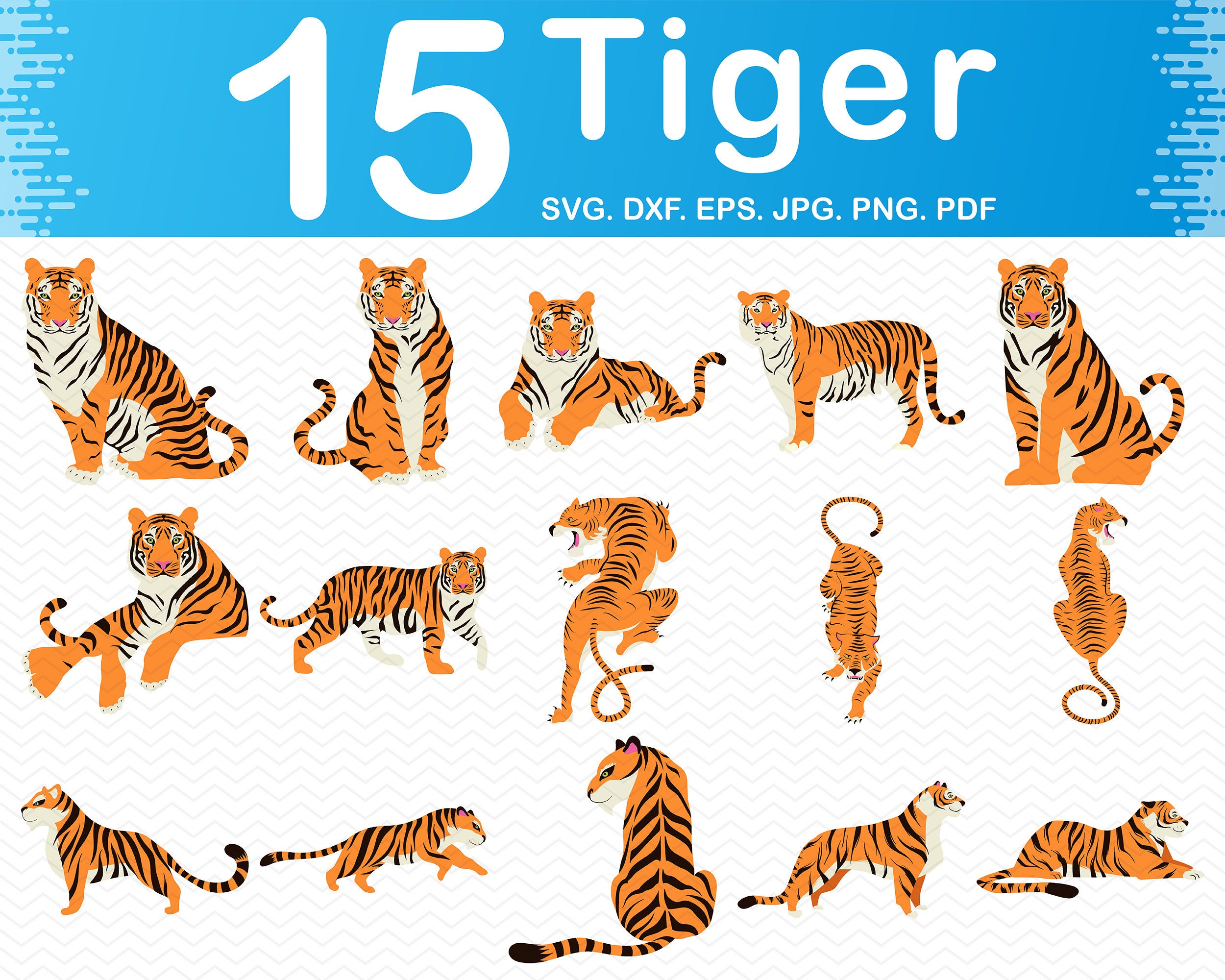 Tiger Svg Tiger Svg Files for Cricut Cricut Tiger Svg | Etsy