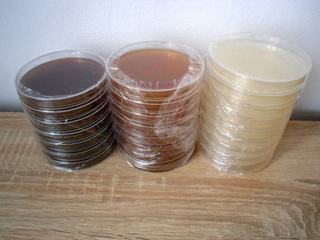 Agar Mix MYA 105/210g for 100/200 Petri Dishes - Etsy