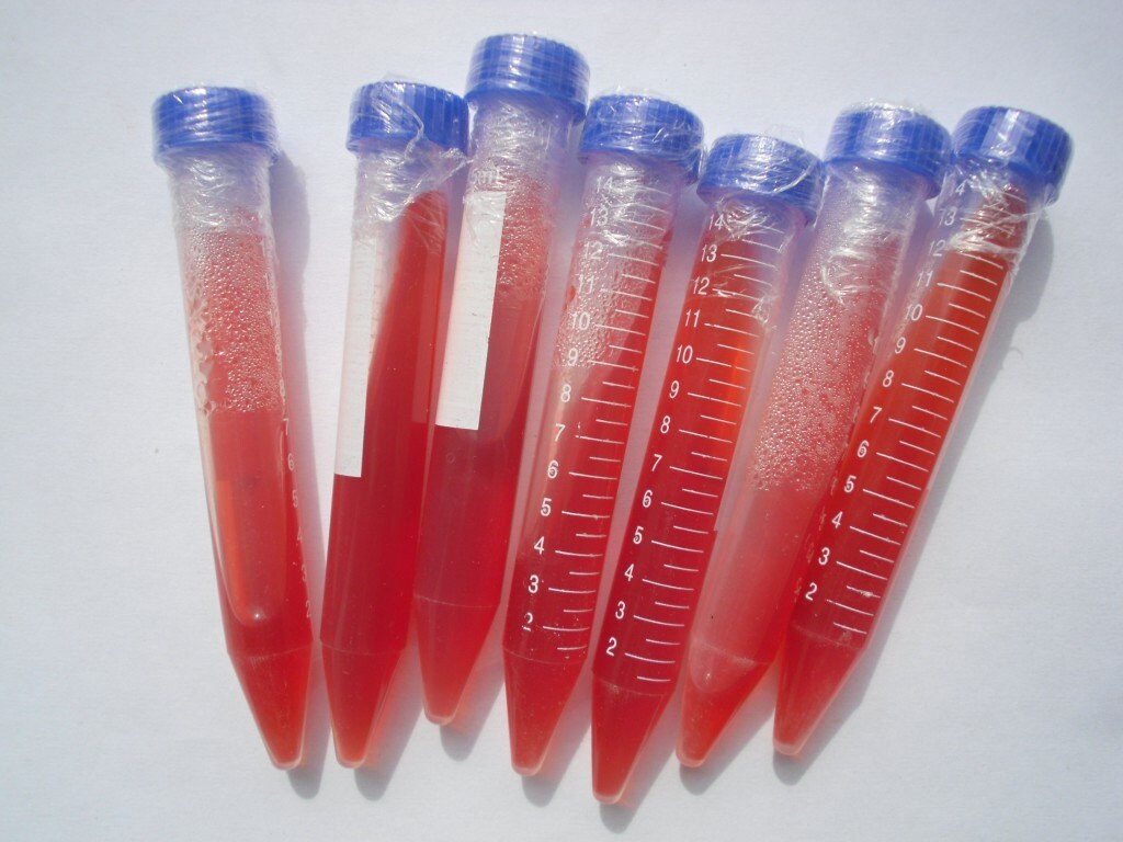 Agar Mix MYA 105/210g for 100/200 Petri Dishes - Etsy