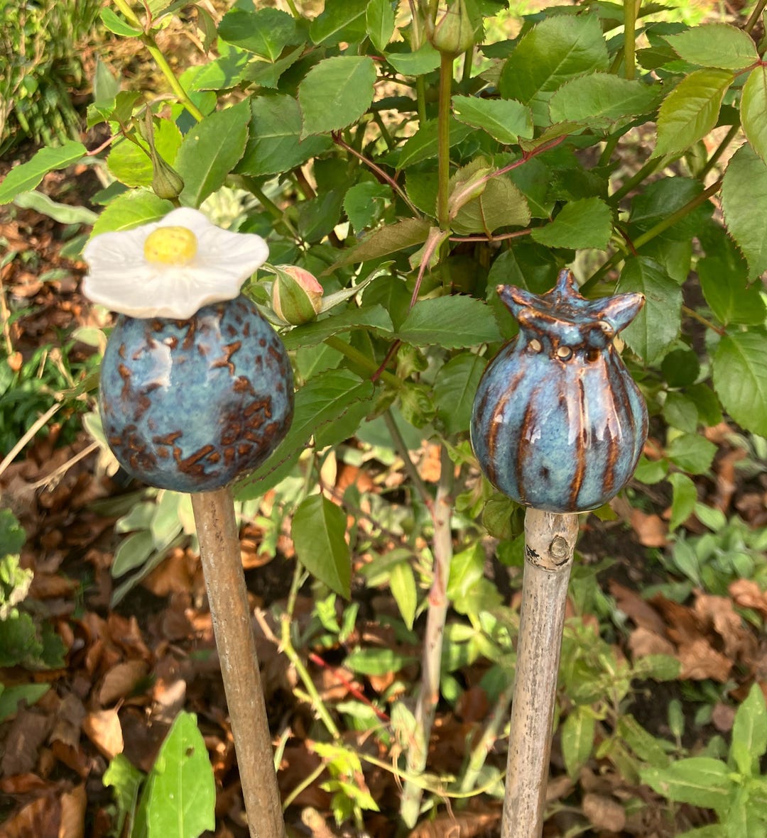 Pair of Ceramic Garden Cane Toppers - Seed Head and Daisy - Etsy