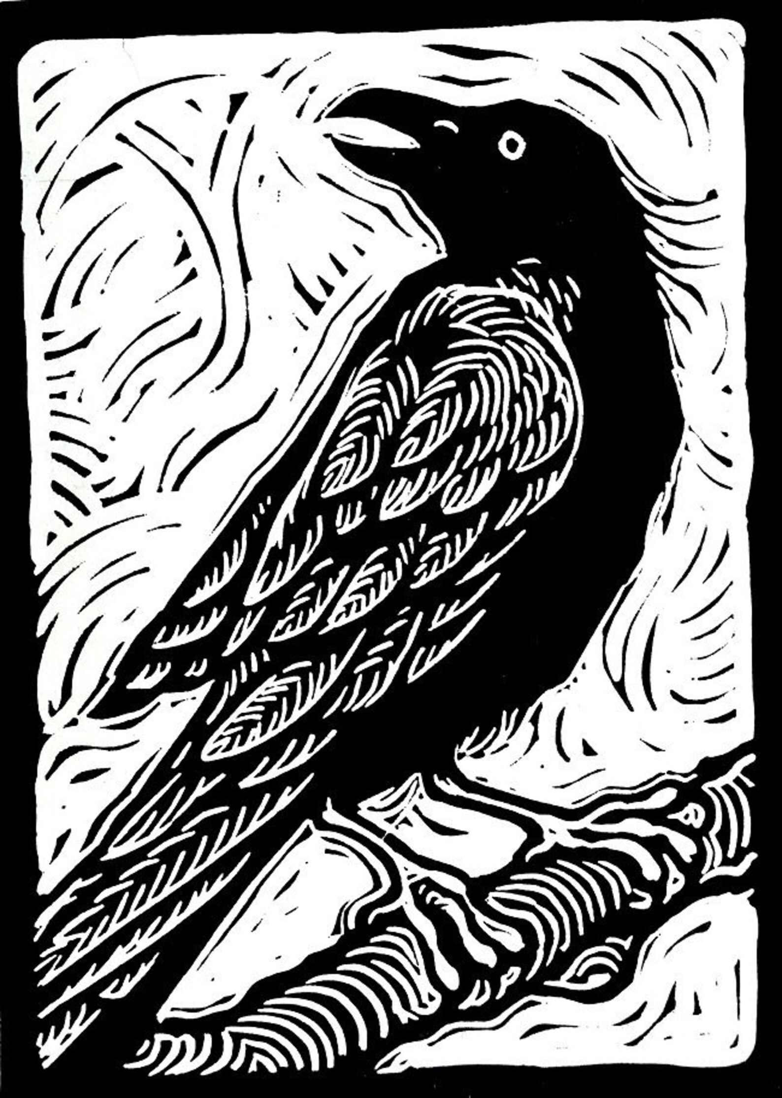 Raven by Anita Hagan - Original Linocut / Linoleum Block Print on Paper ...