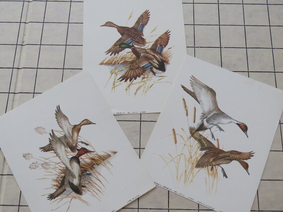 3 Vintage Charles E Murphy Art Print Signed 1981 Arthur A. - Etsy