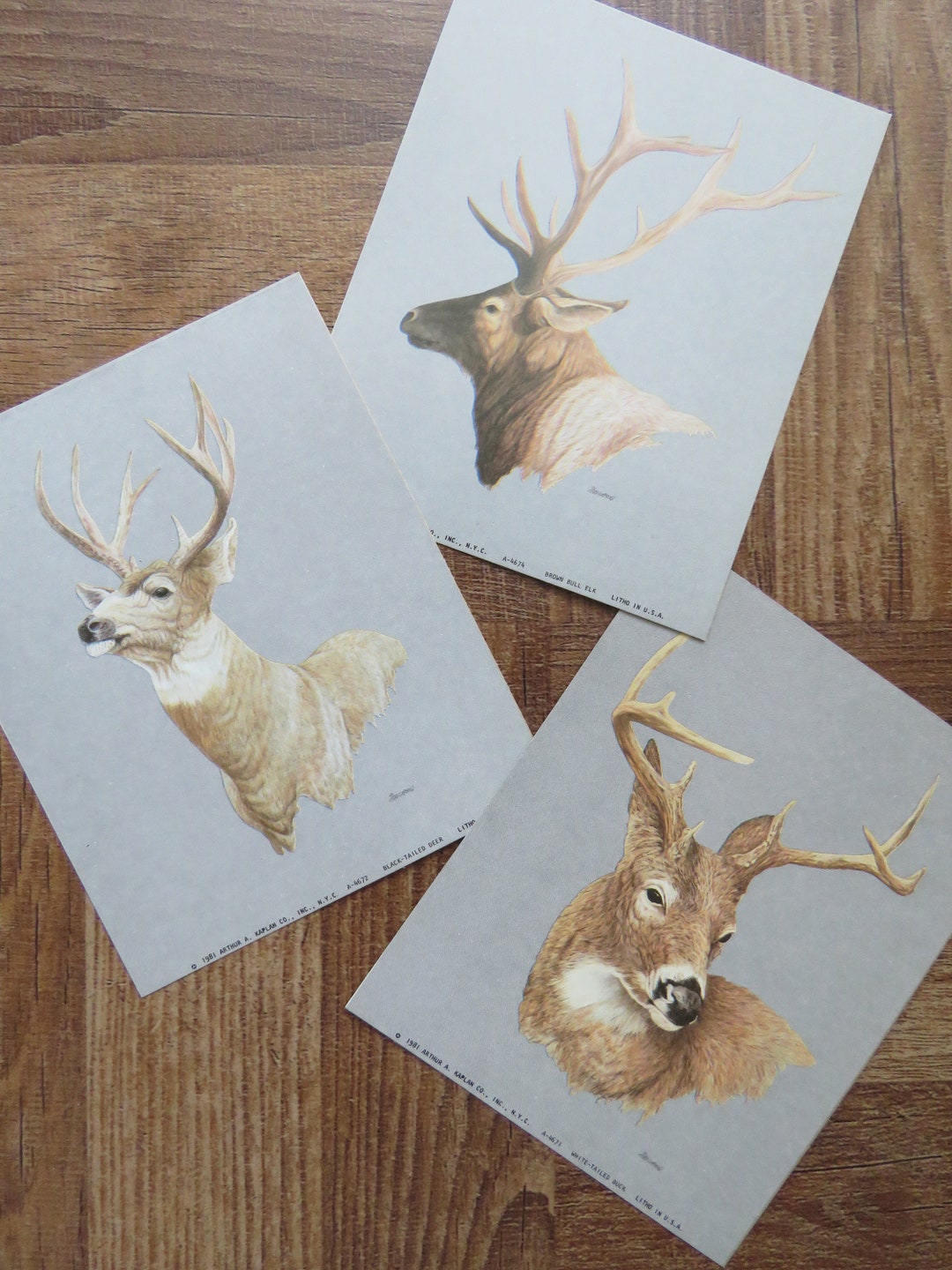 3 Vintage Art Lithograph Print for Home Decoration, Art Project ...