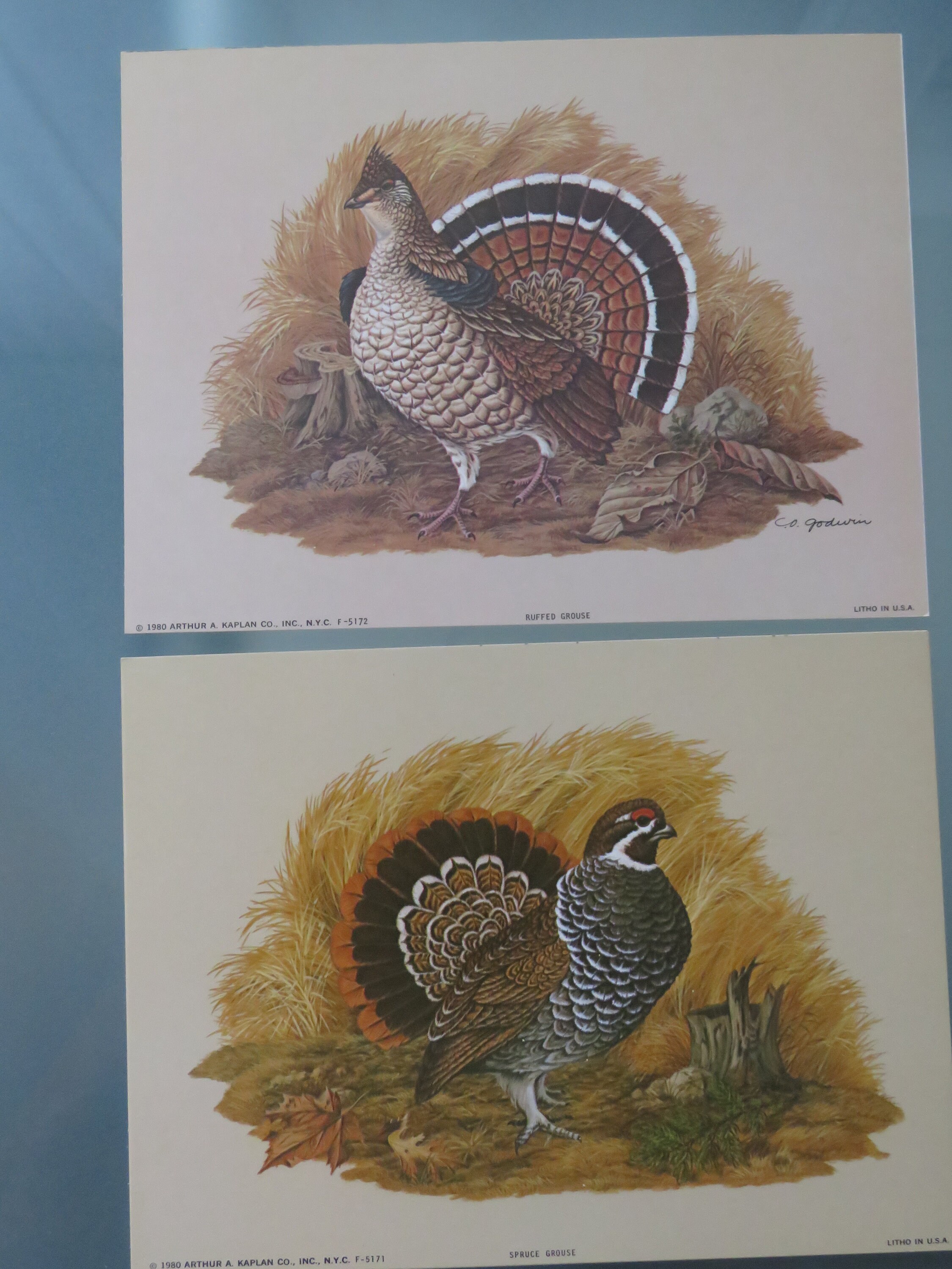 2 Vintage Lithograph Prints Art ''spruce Grouse'' and ''ruffed Grouse ...