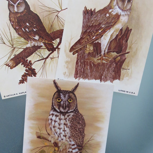 Lithographs Art - Etsy