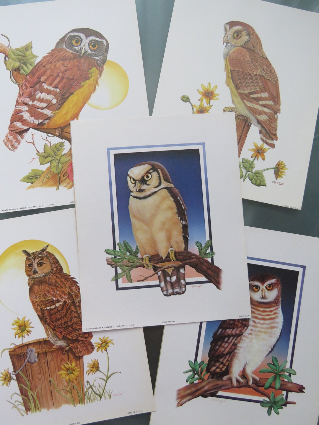 Vintage Owl Lithograph Print Set: Tom Wood & Bellinger, 1970s-80s - Etsy