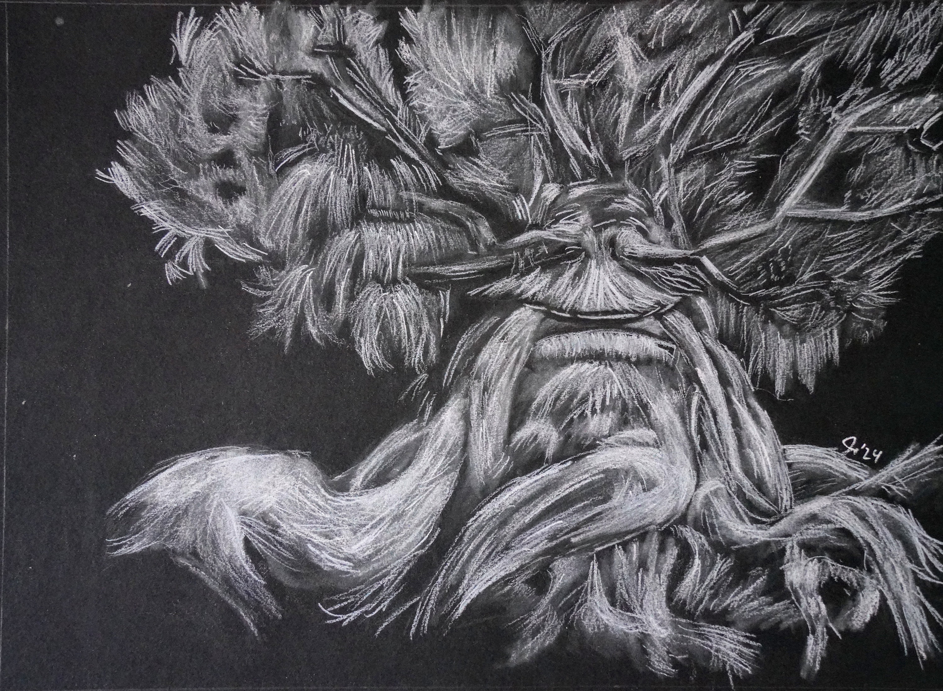 I Drew the Great Deku Tree! - Etsy