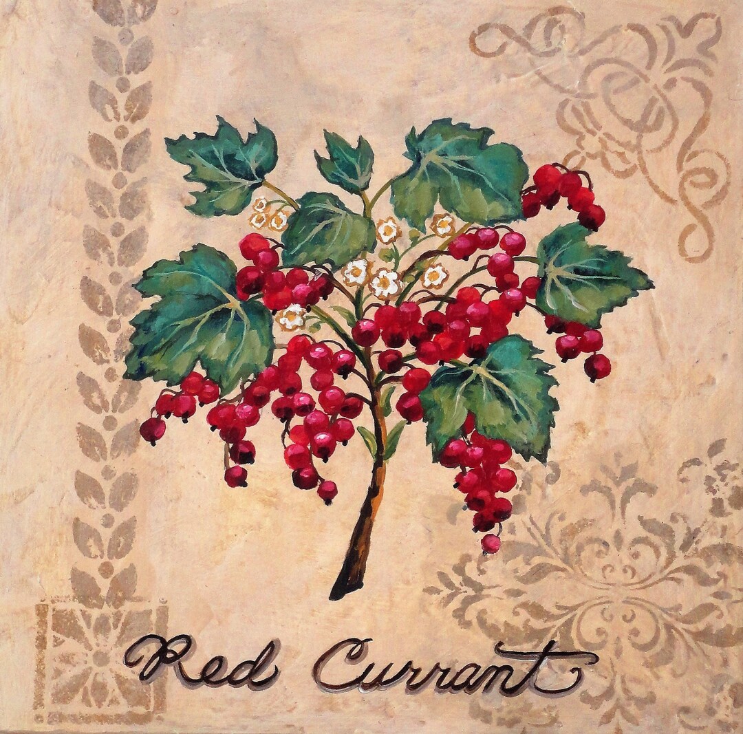 Hand Painted Rustic Venetian Botanical Red Currant Art - Etsy