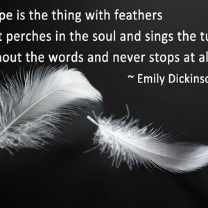 Feather Love Earrings, Celtic Jewelry, Irish Jewelry, Nature Jewelry ...