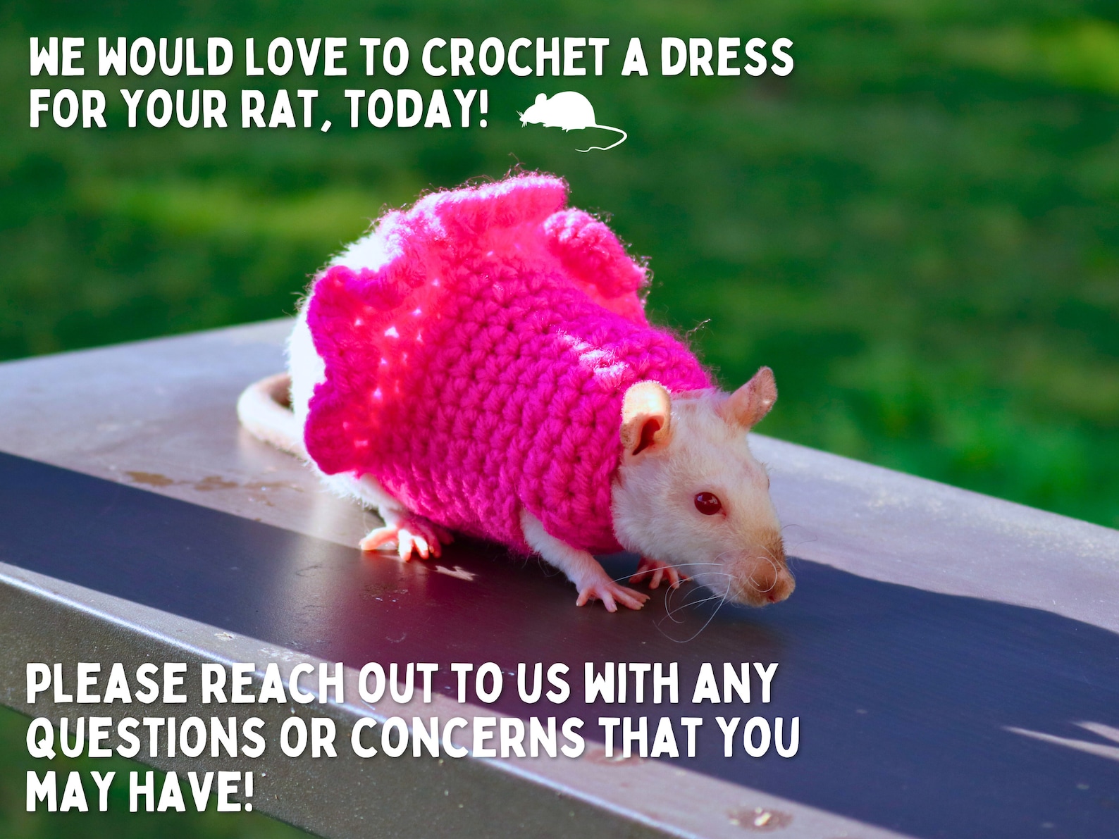 Rat Dress for Rat Crochet Dress for Pet Rat Sweater for Fancy Rat ...