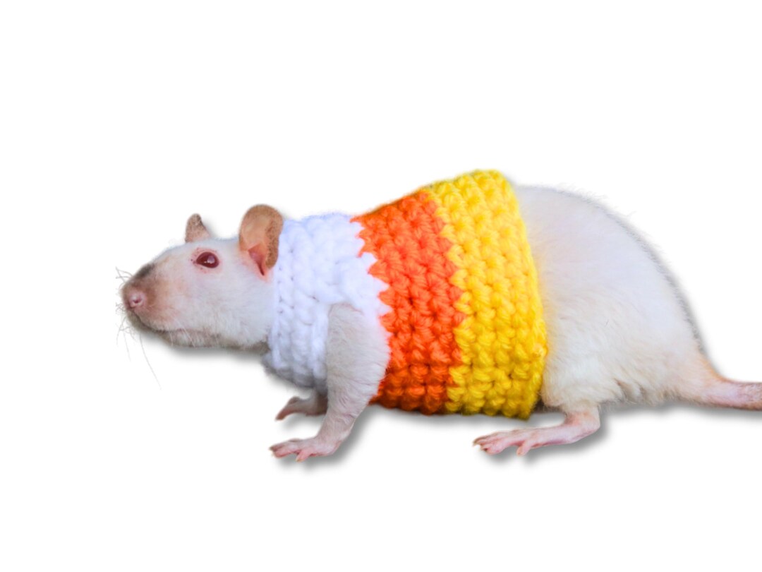 Rat Costume for Pet Rat Halloween Costume for Small Pet Halloween ...