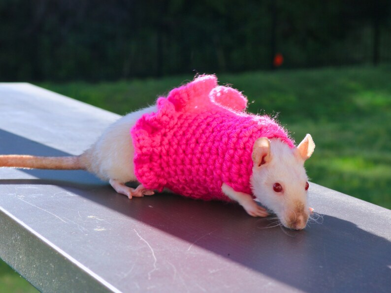 Rat Dress for Rat Crochet Dress for Pet Rat Sweater for Fancy Rat ...