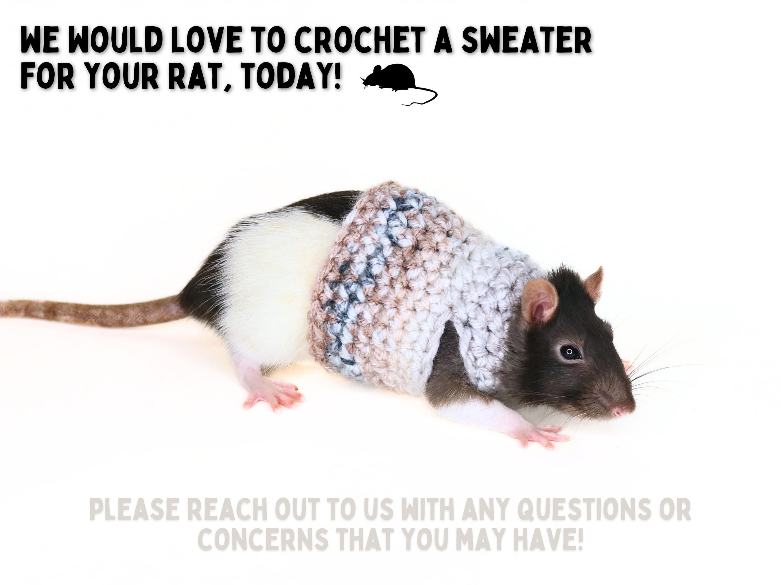 Crochet Rat Sweater for Fancy Rat Clothing for Small Pet Clothing for ...