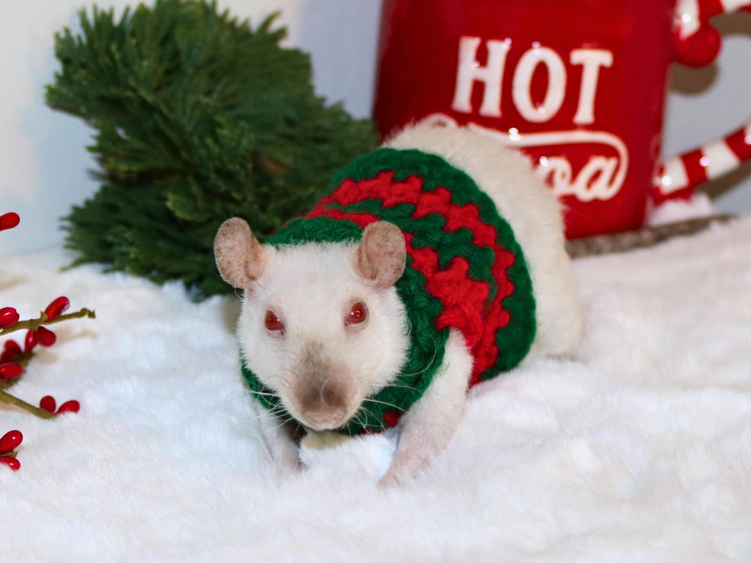 Elf Sweater for Pet Rat Sweater for Hairless Rat Sweater Christmas ...