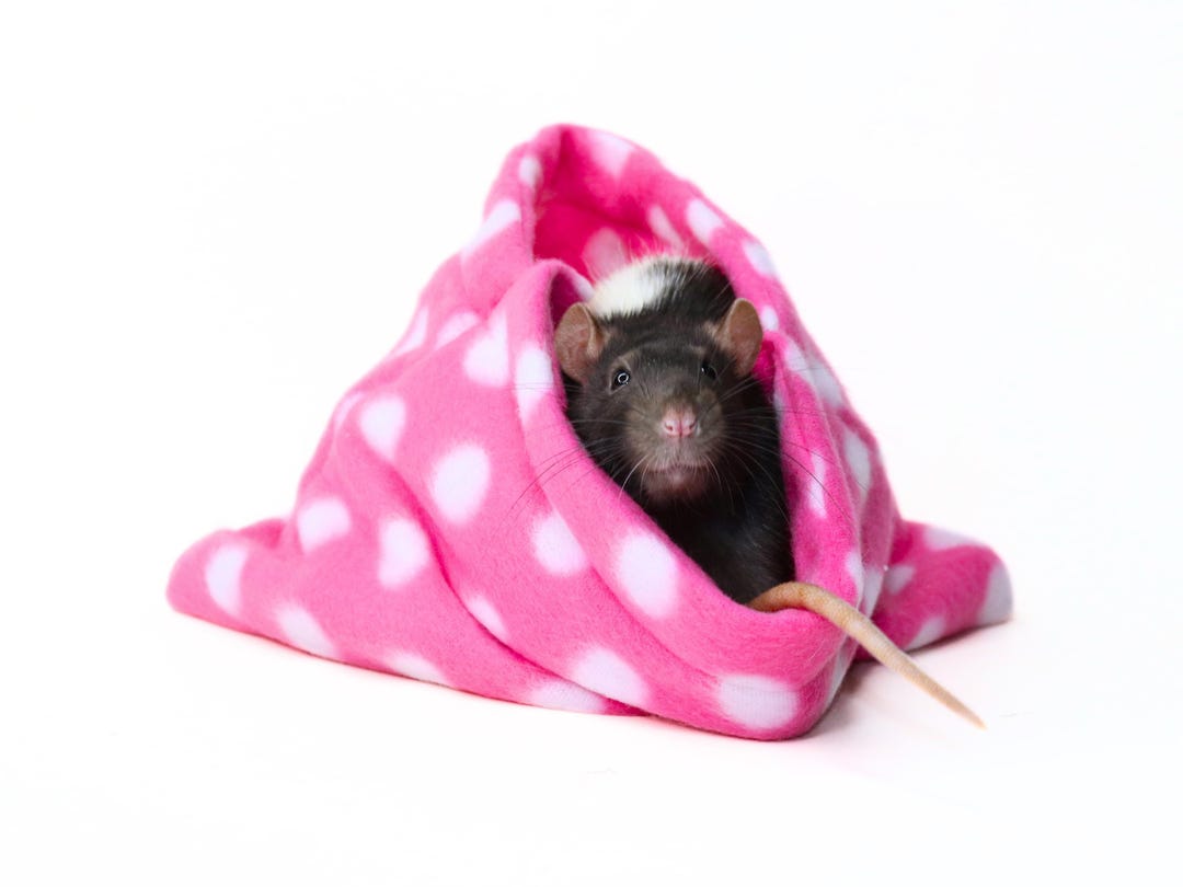 Rat Snuggle Sack for Small Animal Cuddle Cup for Rat Fleece Toy for Rat ...