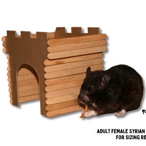 Hamster Castle for Small Animal Hide House for Pet Rodent Cage ...