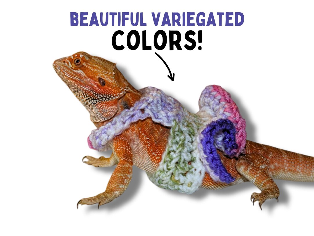 Bearded Dragon Dress for Bearded Dragon Clothing for Reptile Clothing ...