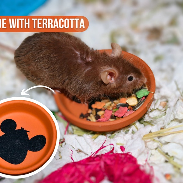 Rat Food Bowl - Etsy