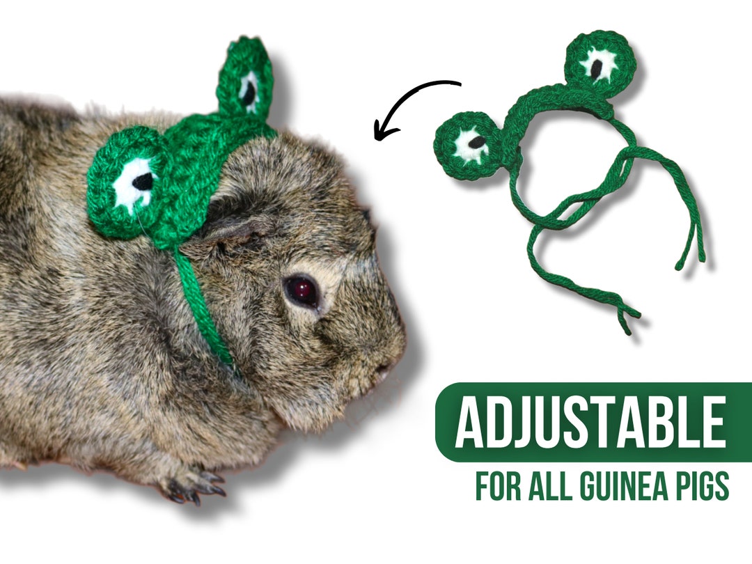 Guinea Pig Costume for Guinea Pig Frog Costume for Guinea Pig Halloween ...