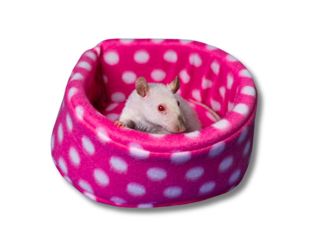 Polka Dot Cuddle Cup for Small Animal Cuddle Cup for Guinea Pig Bed for ...