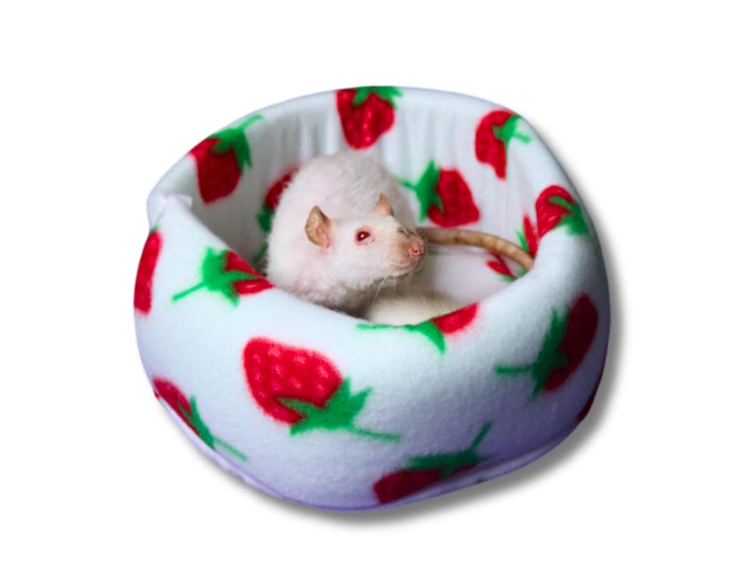 Strawberry Cuddle Cup for Small Animal Cuddle Cup for Guinea Pig Bed ...
