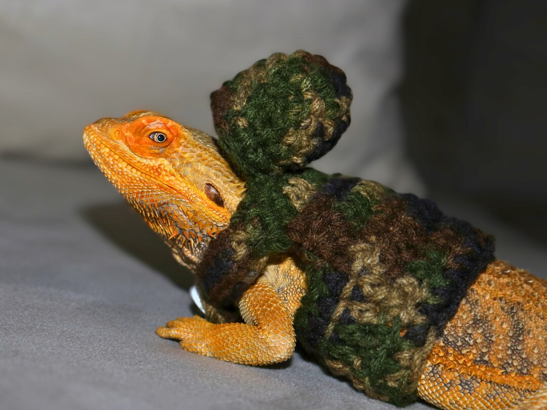 Bearded Dragon Camo Hoodie for Pet Lizard Army Pattern Sweater Reptile ...