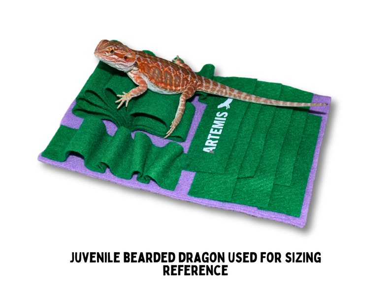 Bearded Dragon Foraging Mat for Reptile Forage Toy for Lizard Foraging ...