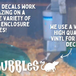 Rat Name Cage Decal for Rat Cage Custom Sign for Rat Cage Accessory for ...