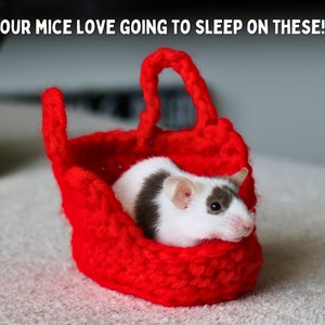 Small Pet Carrier for Mouse Carrier for Rodent Toy for Mouse Cage Toys ...