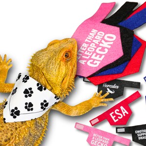 Emotional Support Dragon Bandana for Bearded Dragons Custom ...