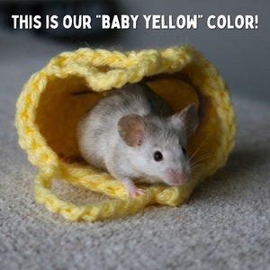 Small Pet Carrier for Mouse Carrier for Rodent Toy for Mouse Cage Toys ...