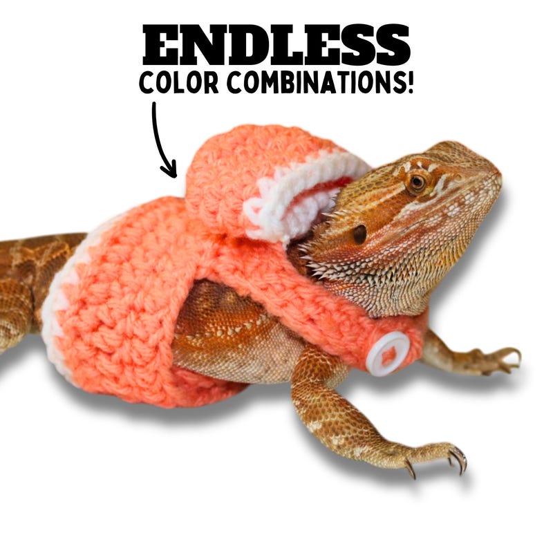 Bearded Dragon Gifts - 60+ Gift Ideas for 2025