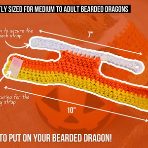 Bearded Dragon Candy Corn Costume Sweater, Halloween Lizard Sweater ...