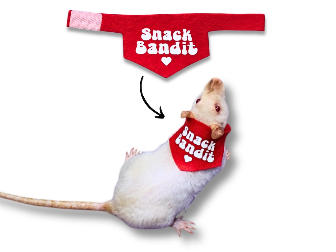 Rat Bandana for Pet Rat Clothing for Fancy Rat Accessory for Small Pet ...