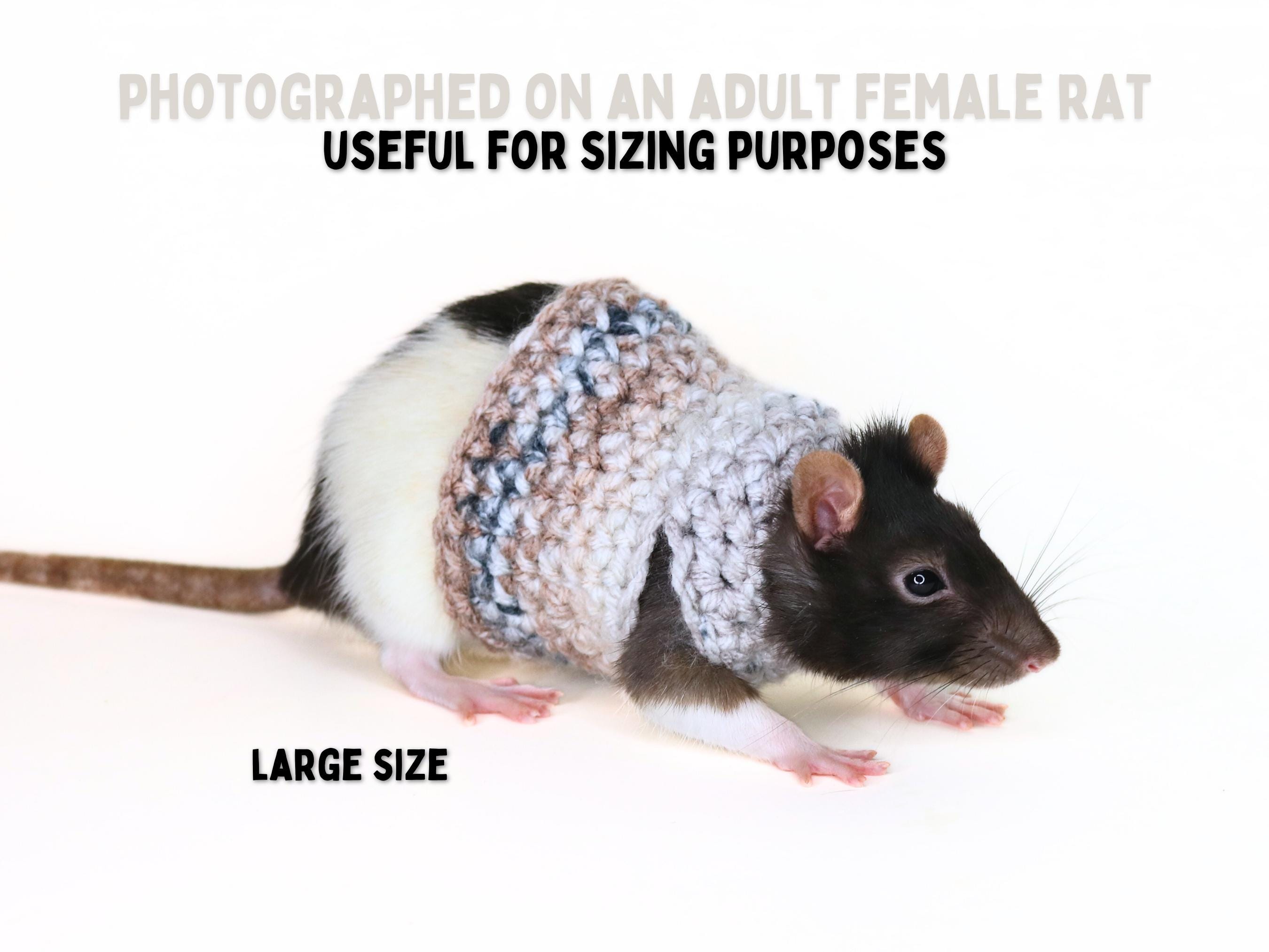 Crochet Rat Sweater for Fancy Rat Clothing for Small Pet Clothing for ...