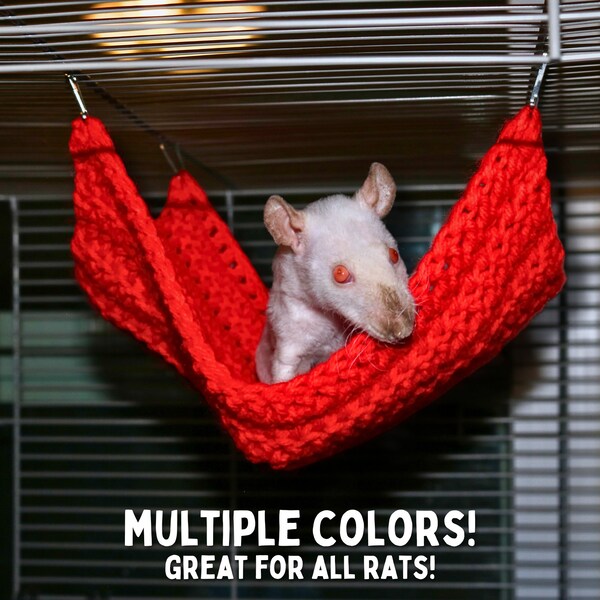 Rat Hammock - Etsy