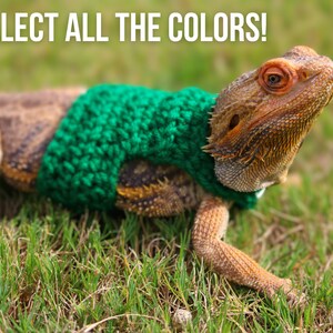Bearded Dragon Sweater, Lizard Sweater, Lizard Shirt, Bearded Dragon ...