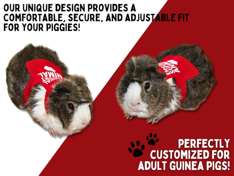 Emotional Support Animal Guinea Pig Shirt, Registered ESA Pet Vest for ...