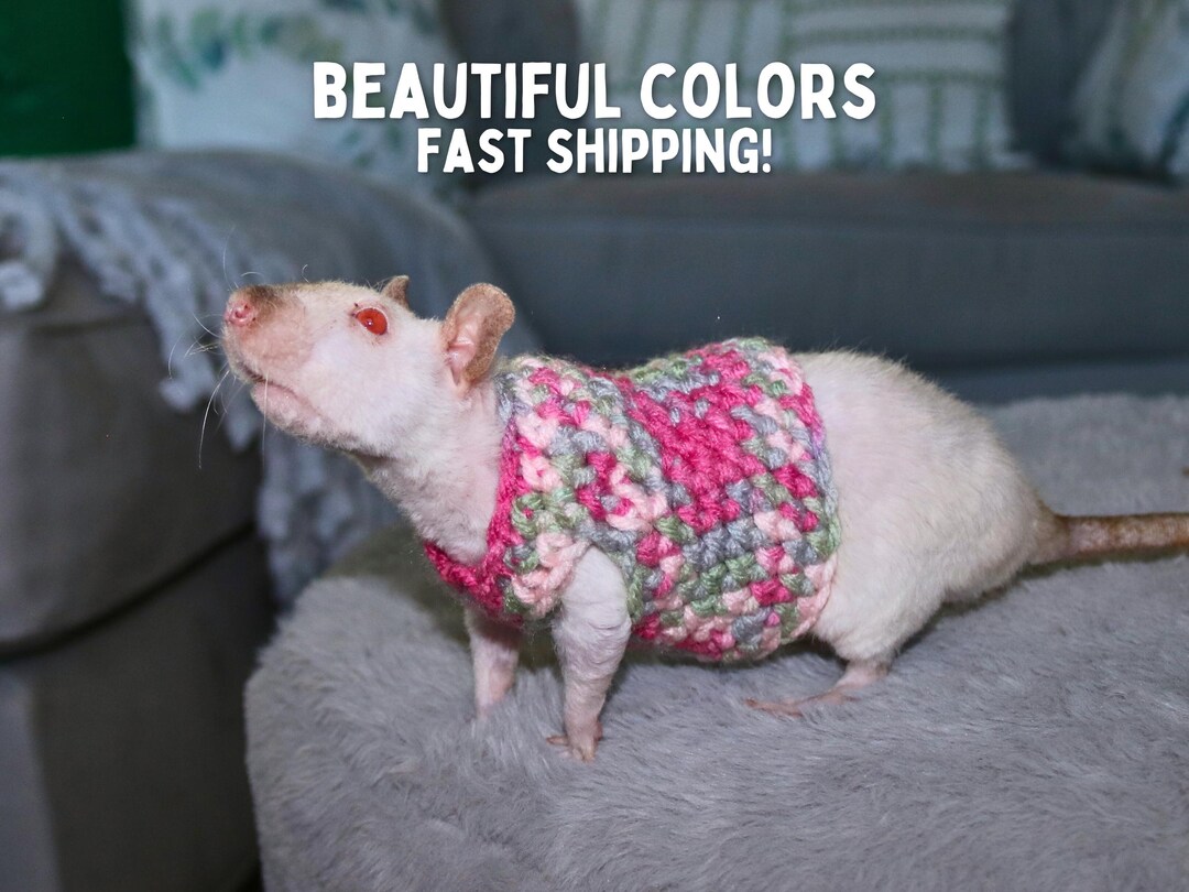 Rat Sweater for Rat Crochet Sweater for Small Pet Sweater for Fancy Rat ...