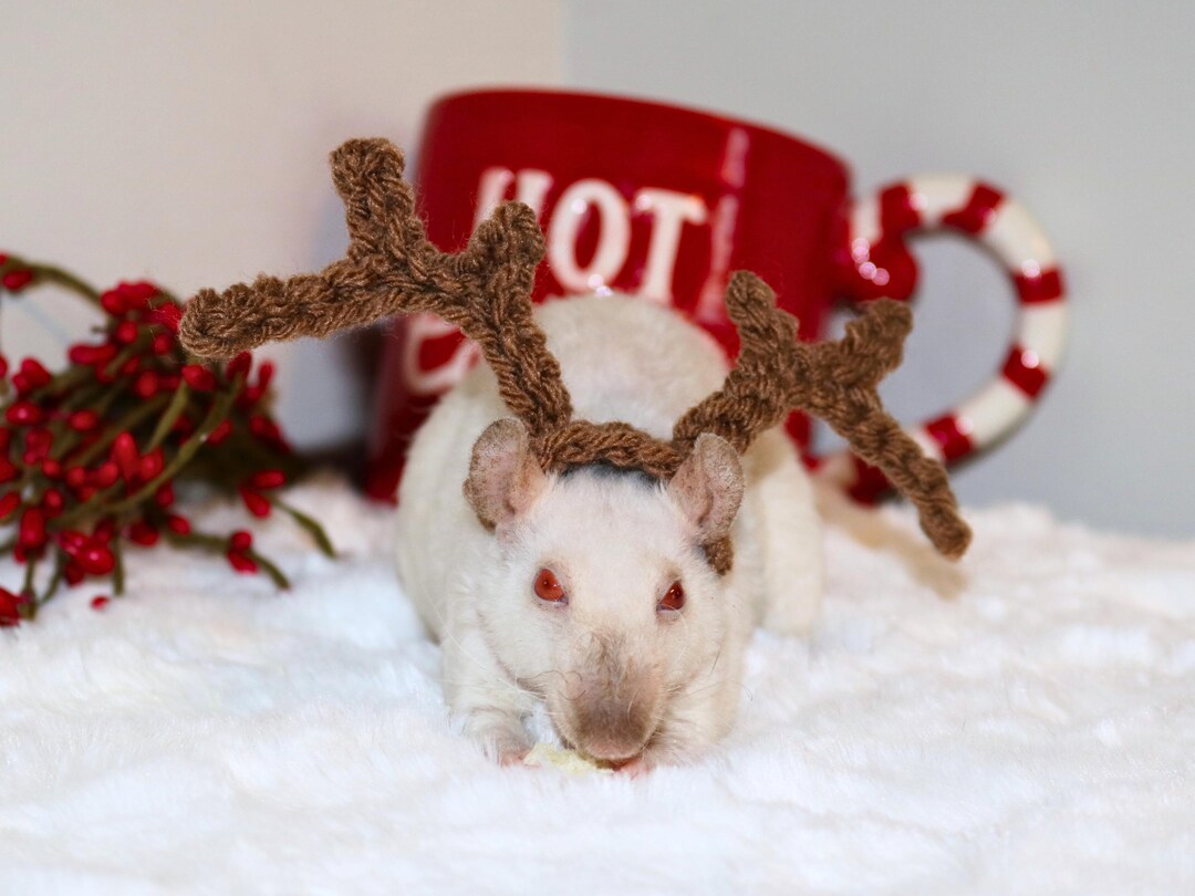 Reindeer Antlers for Pet Rat Christmas Outfit for Small Pet Christmas ...