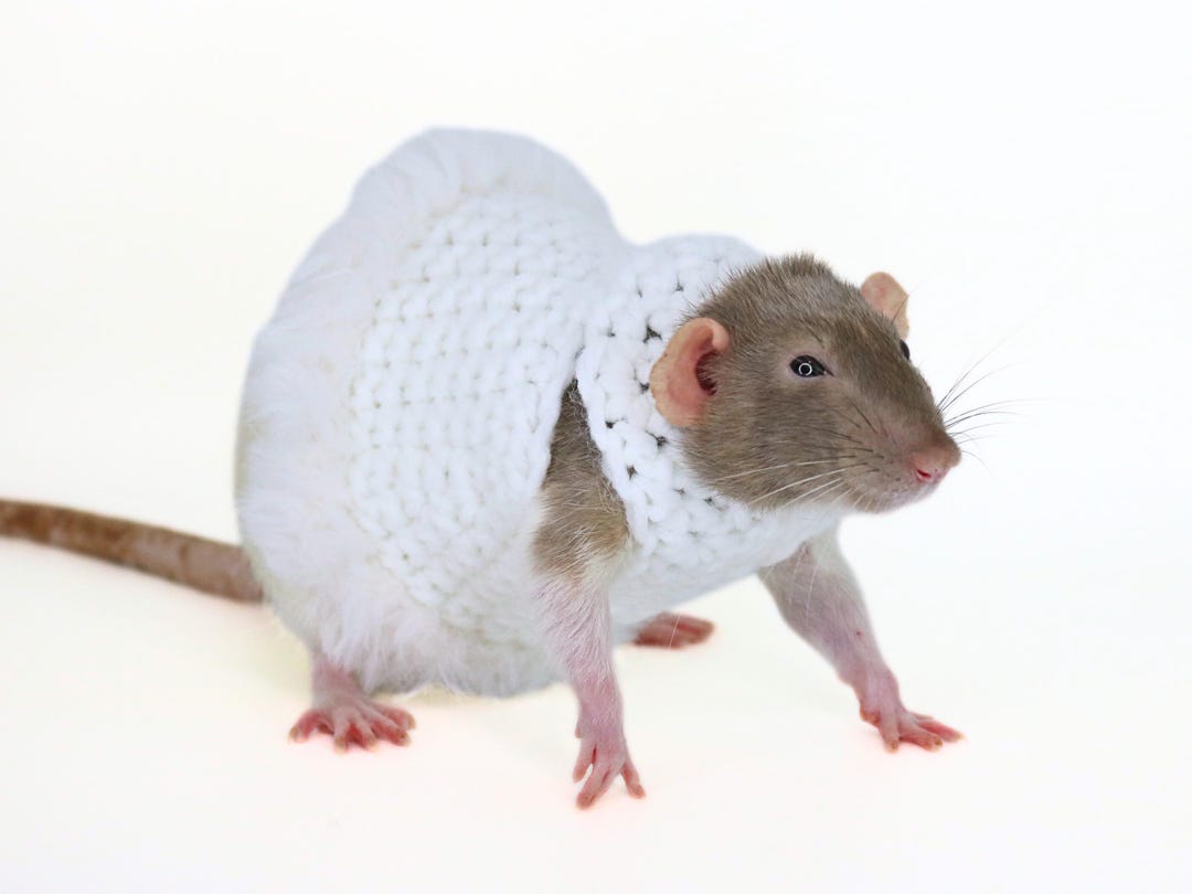 Furry Rat Sweater for Fancy Rat Crochet Sweater for Rat Clothing for ...