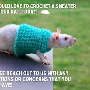 Rat Sweater for Rat Crochet Sweater for Small Pet Sweater for Fancy Rat ...
