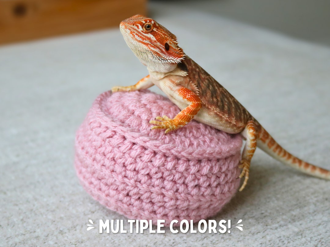Bearded Dragon Couch for Reptile Bed for Bearded Dragon Bed, Bearded ...