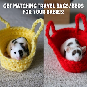 Small Pet Carrier for Mouse Carrier for Rodent Toy for Mouse Cage Toys ...