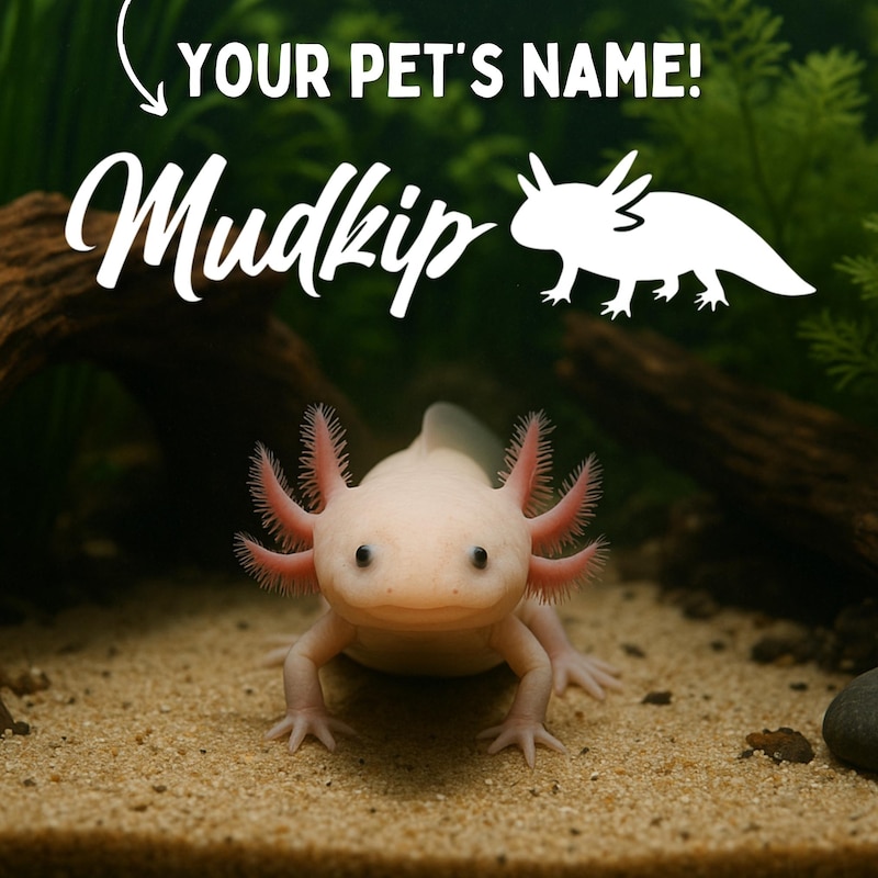 Axolotl Sticker - Etsy
