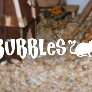 Rat Name Cage Decal for Rat Cage Custom Sign for Rat Cage Accessory for ...