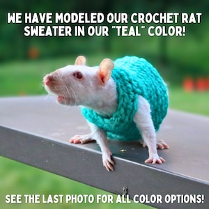 Rat Sweater for Rat Crochet Sweater for Small Pet Sweater for Fancy Rat ...
